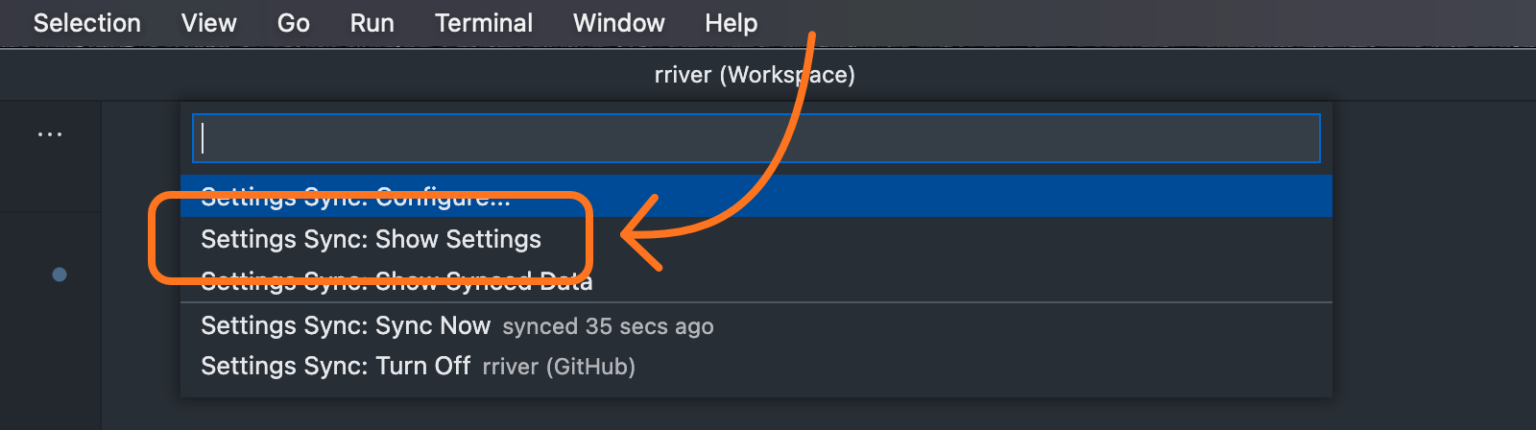 VSCodeの複数端末の同期設定機能で特定の設定を除外する方法 | Rriver